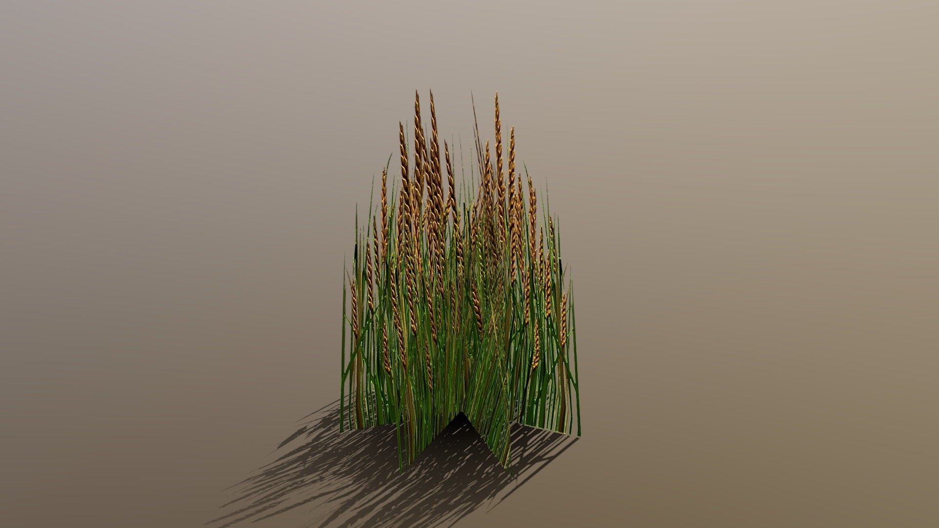 Wheat - Buy Royalty Free 3D model by Thunder (@thunderpwn) [38d612e ...