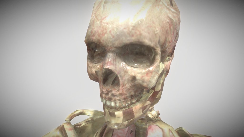 Gore And Gibs - A 3D model collection by Melkor (@ashames0216) - Sketchfab