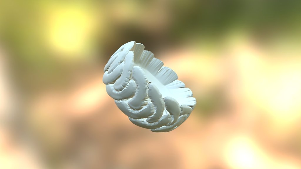 Tresse - 3D model by MamieFlou [38dfb30] - Sketchfab