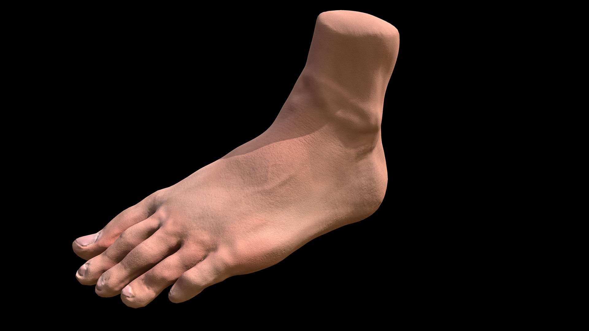 Foot Study - Zbrush and substance painter - 3D model by Hassan.Mubashir1 [38e35f2] - Sketchfab