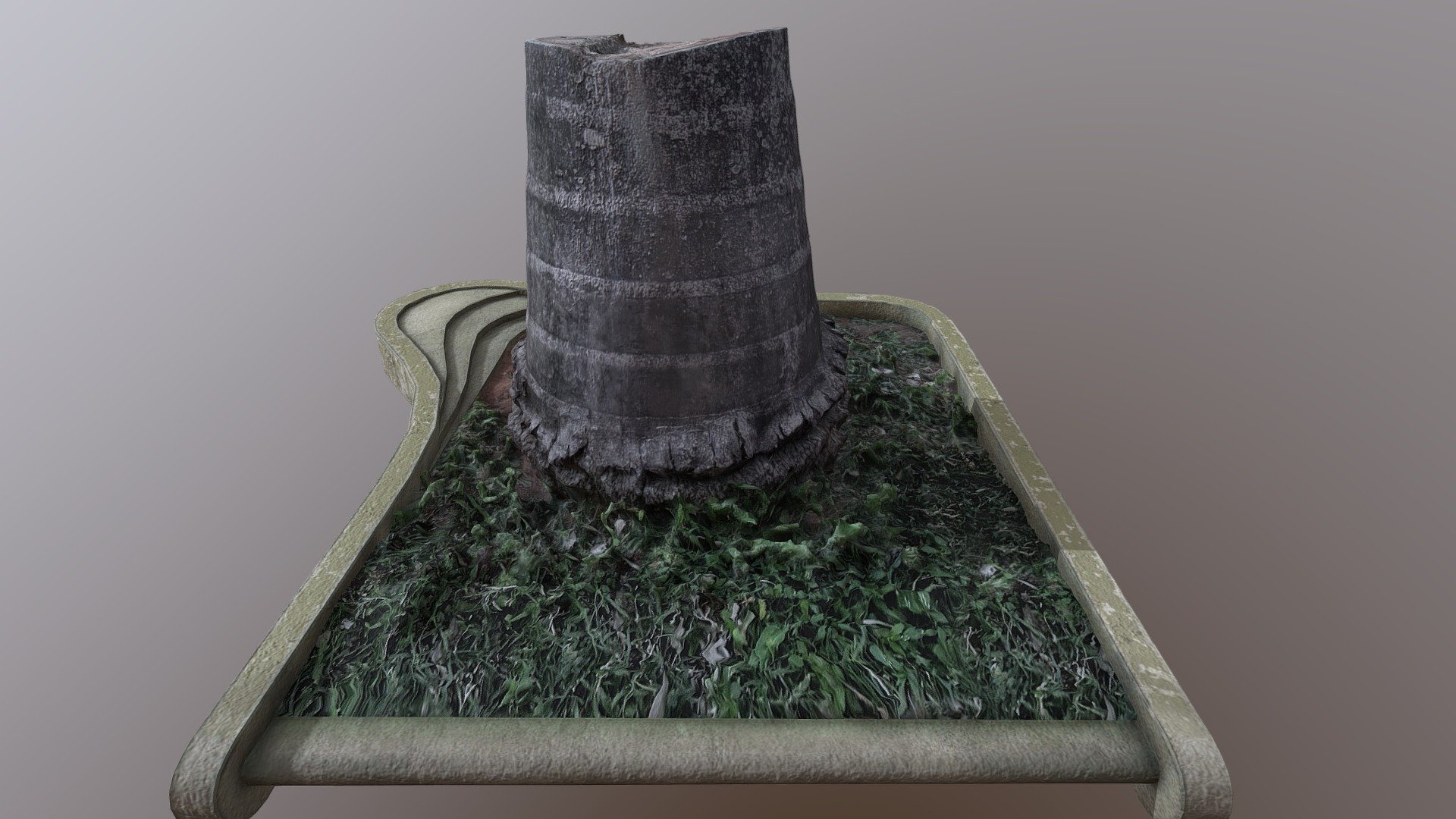 Palm tree cutted - Download Free 3D model by Nol22 (@manoloescobedo22 ...