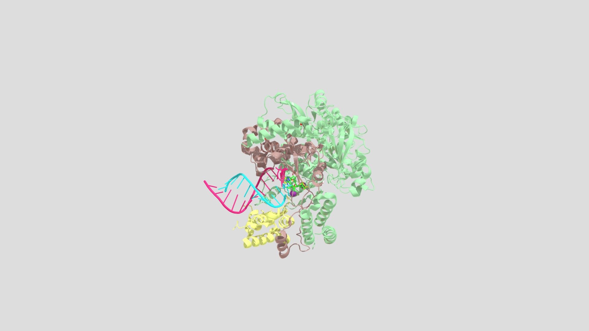RNA Dependent RNA Polymerase & Remdesivir - 3D model by mollyk [38f1680 ...