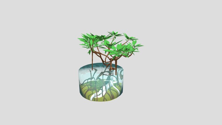 Mangrove 3D models - Sketchfab