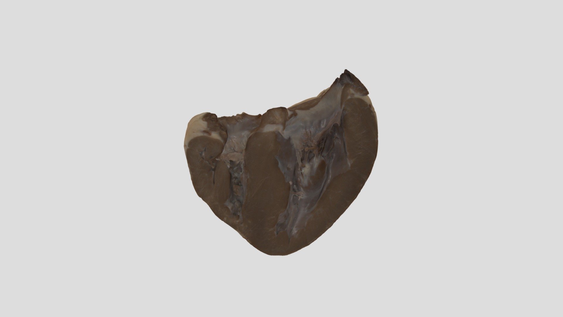 Half Heart 2 - Download Free 3D model by jdb56 [38f944b] - Sketchfab