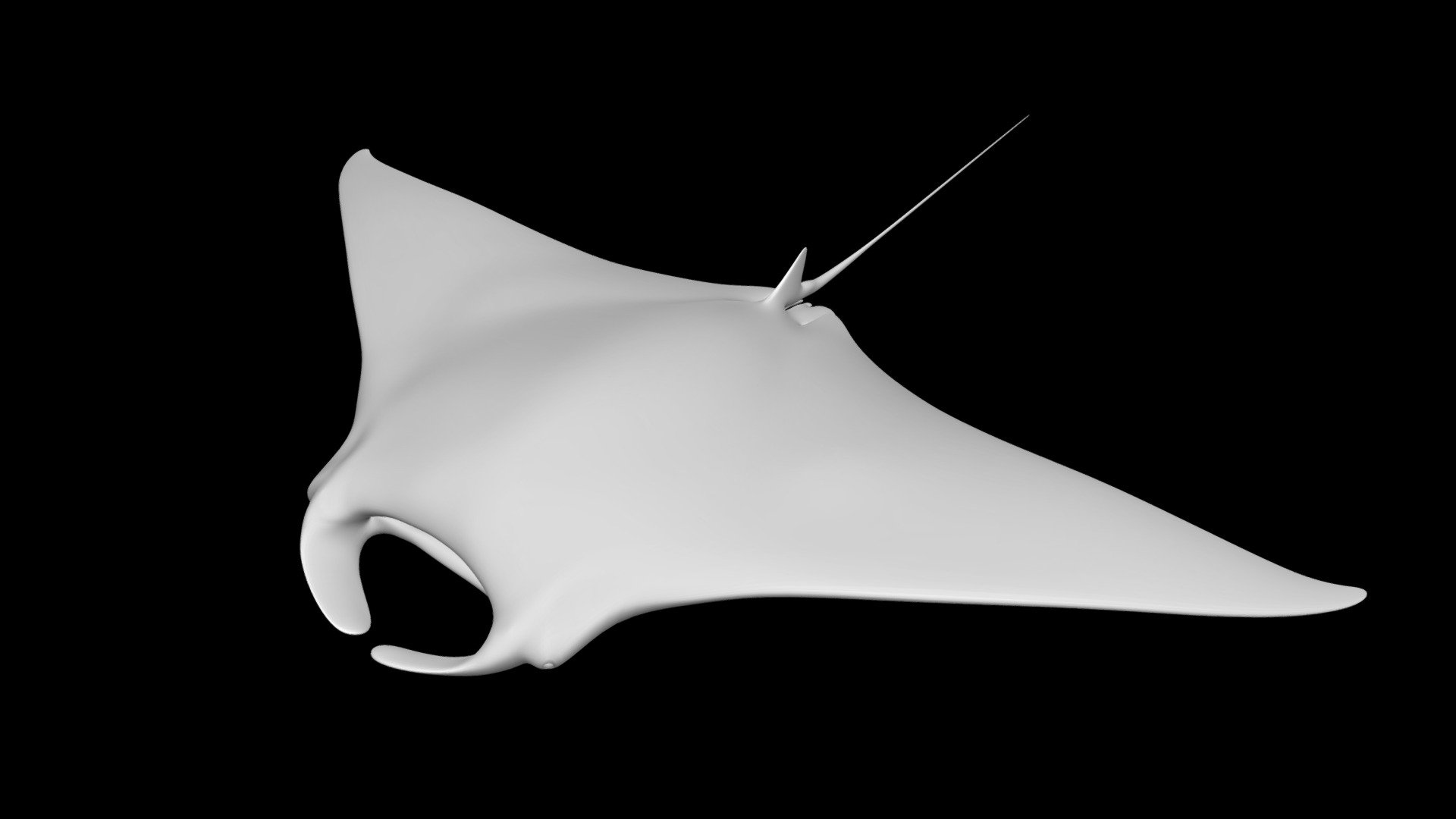 Model 84C - Manta Ray Mesh - Download Free 3D model by DigitalLife3D ...