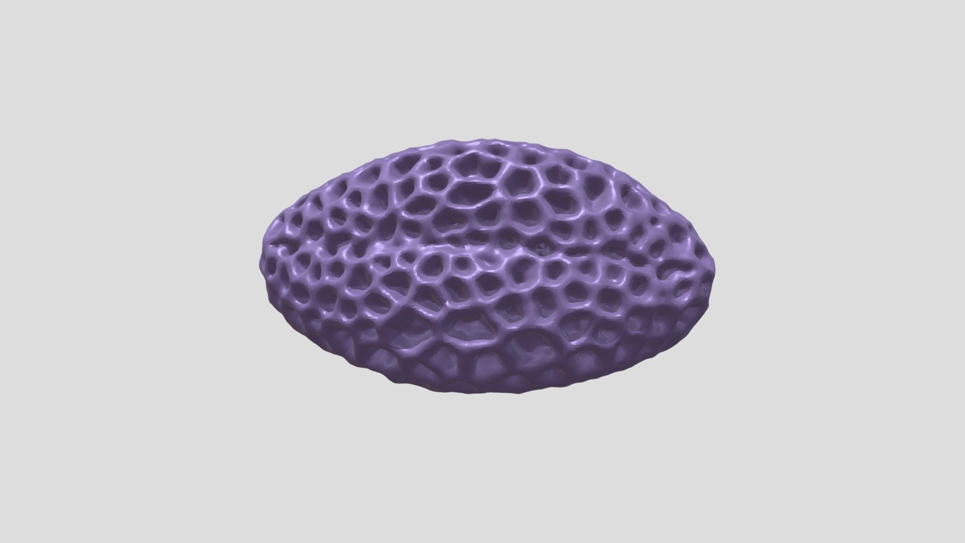 Sweet alyssum (Lobularia maritima) pollen - 3D model by Cardiff ...