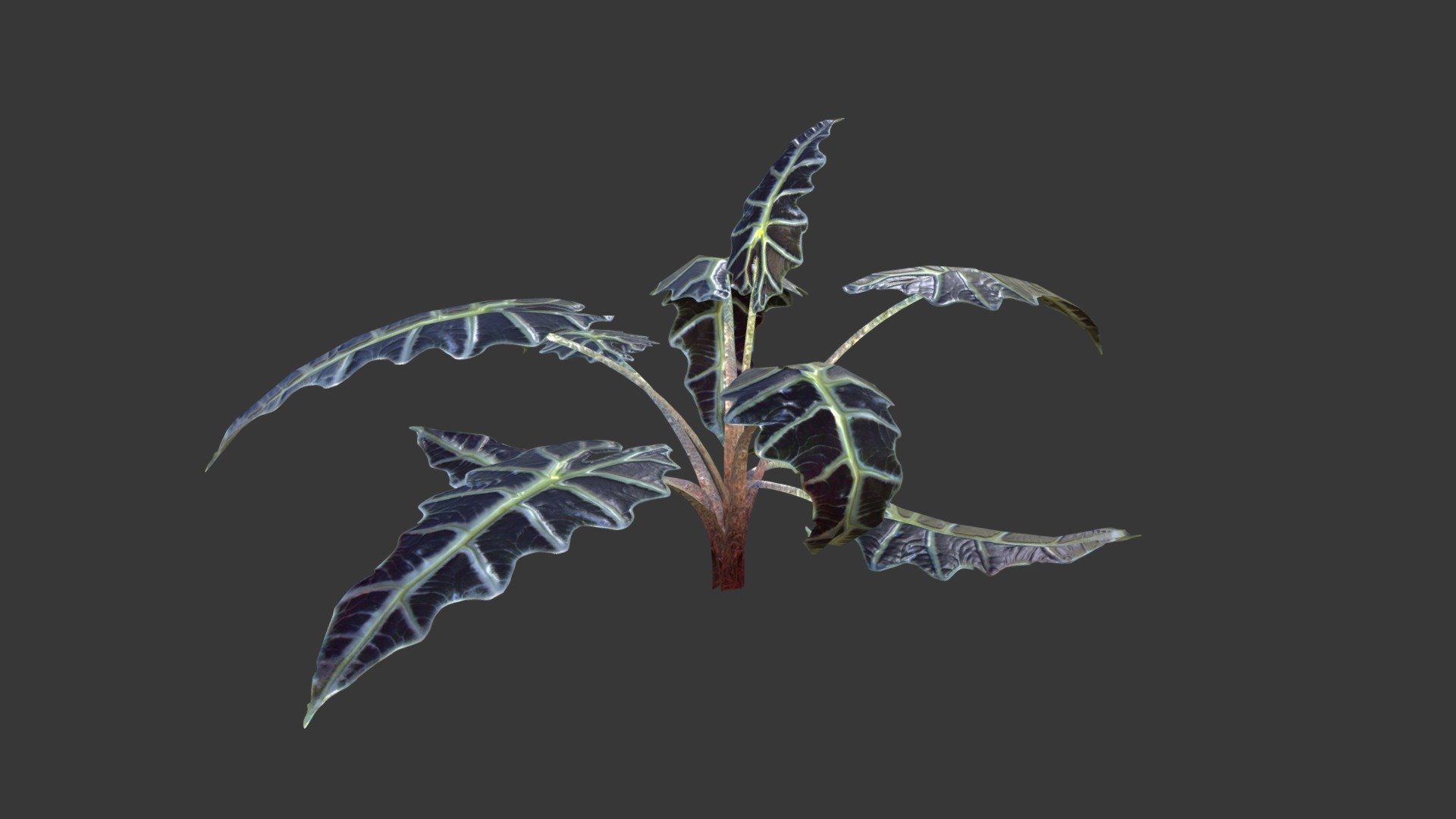 Dragon Fern - Buy Royalty Free 3D model by InfuseStudio [39035e7 ...