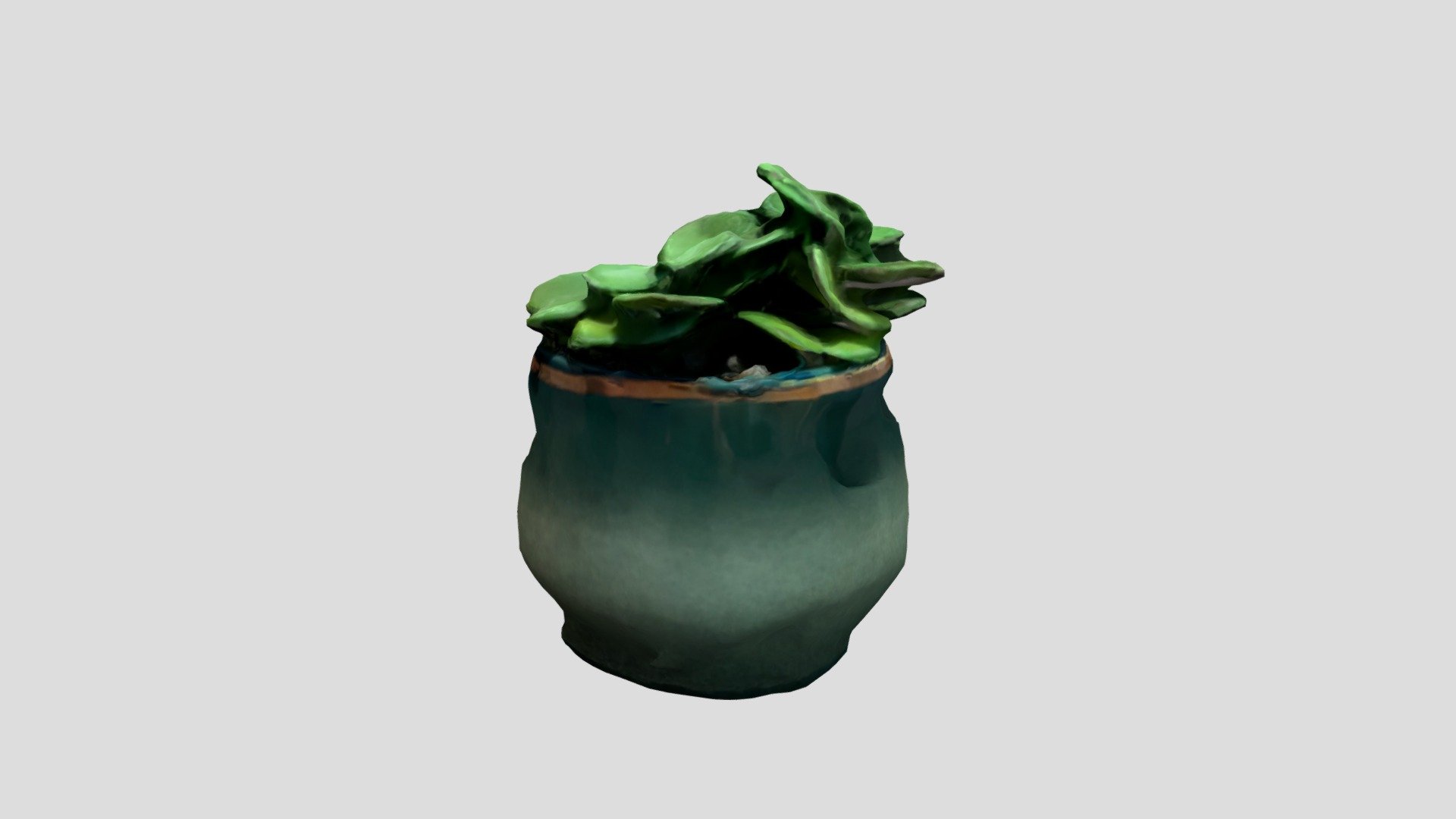 Little Plant in Pot - Download Free 3D model by Scanking [3906422 ...