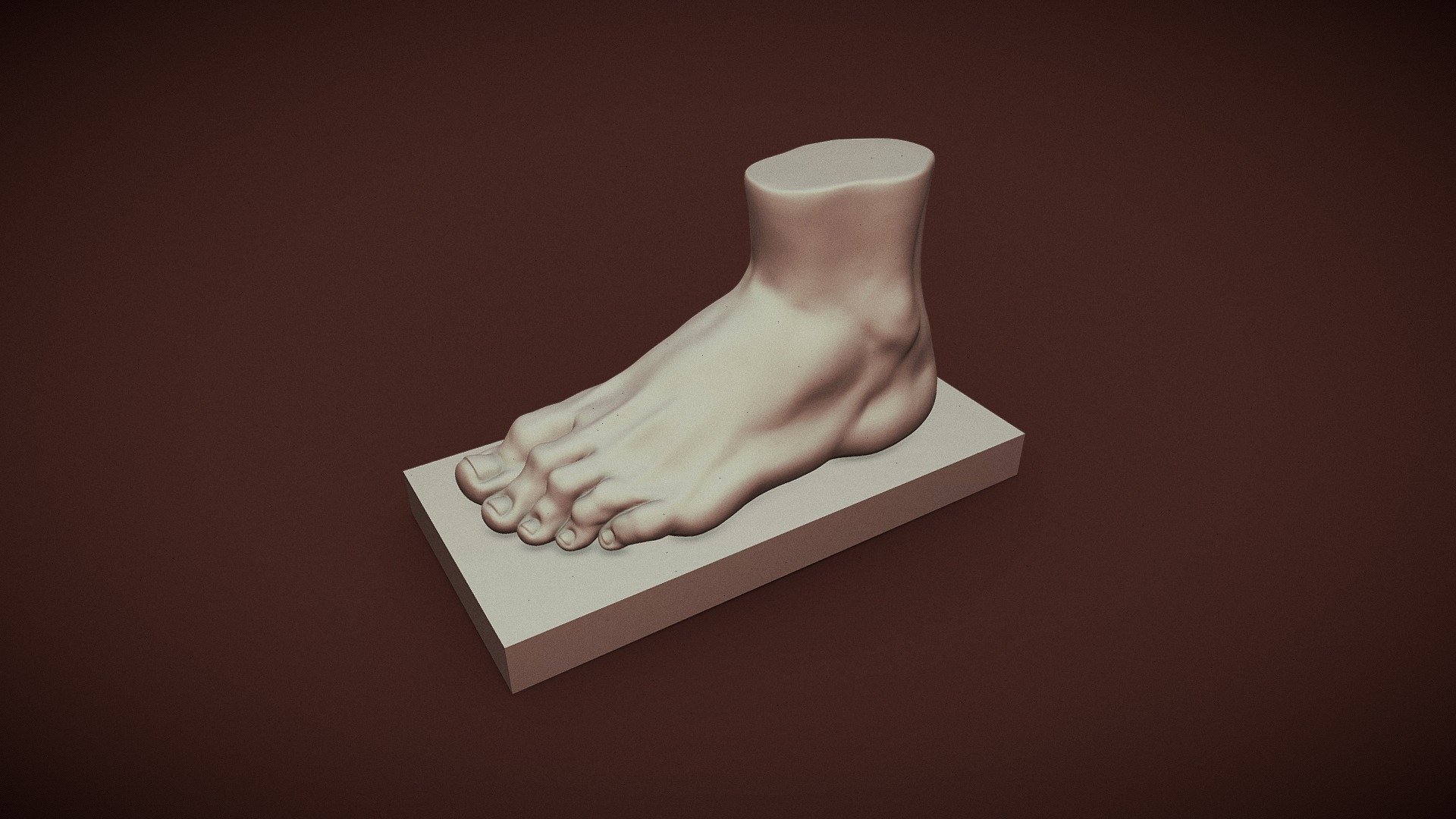 Feet Anatomy - 3D model by Andrey Tchernecov (@Tchernecov) [3909a60 ...