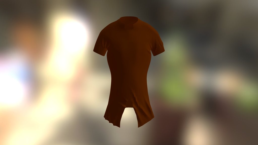 Tunic - 3D model by tkswift [3909b51] - Sketchfab