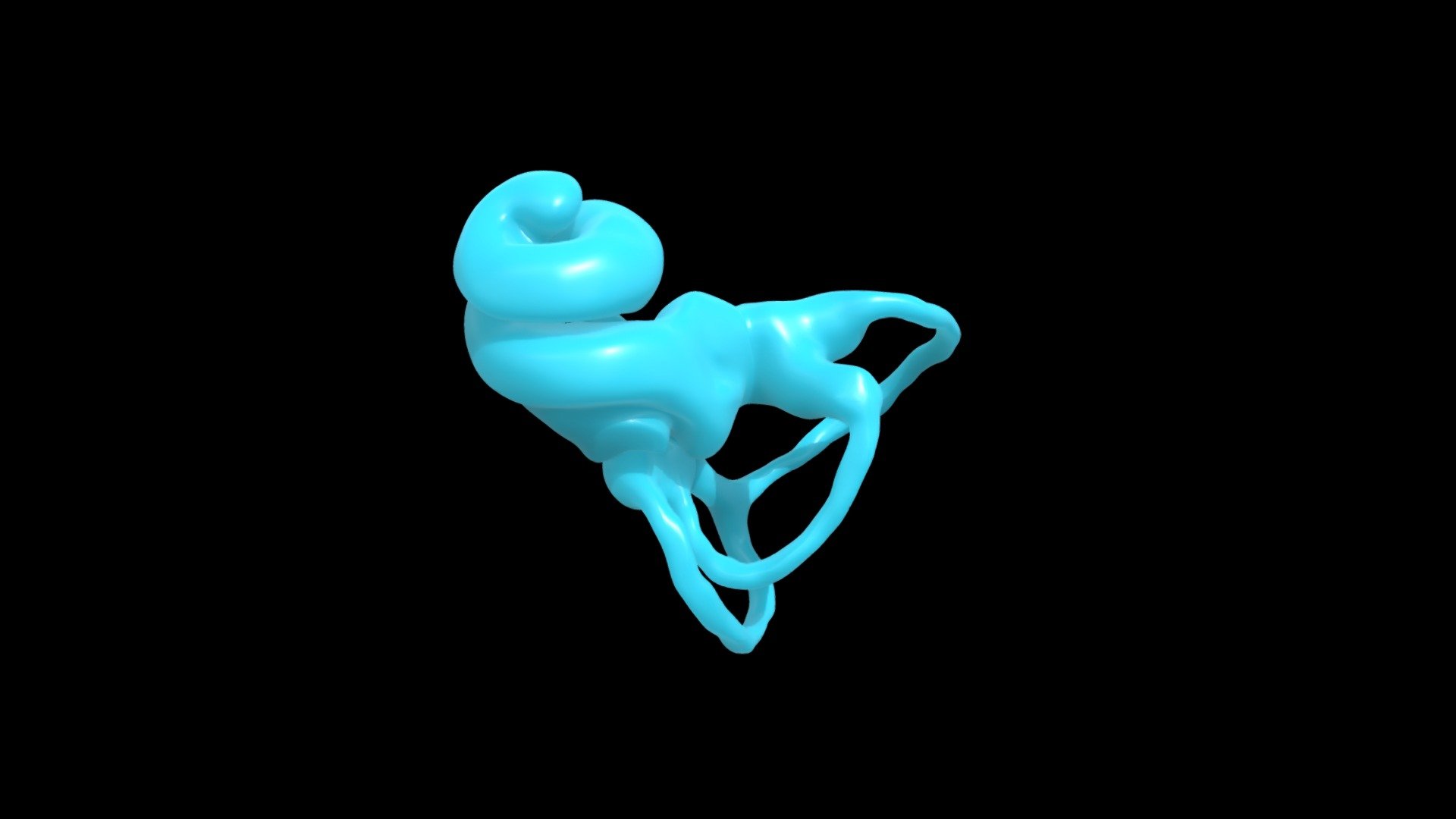 Mus musculus (mouse) Cochlea - 3D model by jpeter99 [390b33f] - Sketchfab