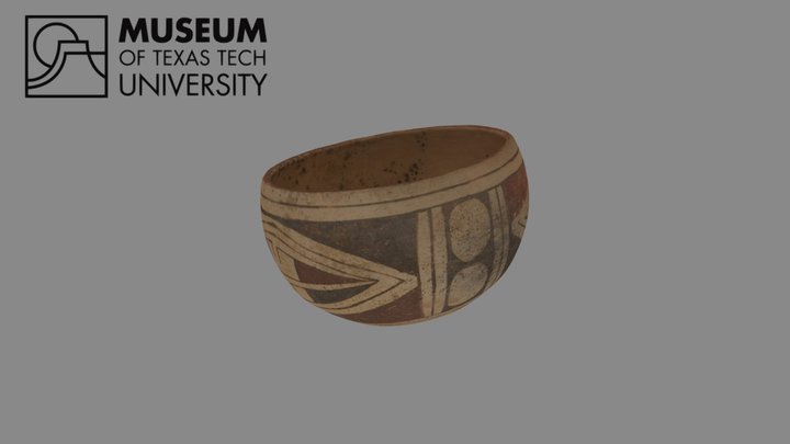 Ramospolychrome 3D models - Sketchfab
