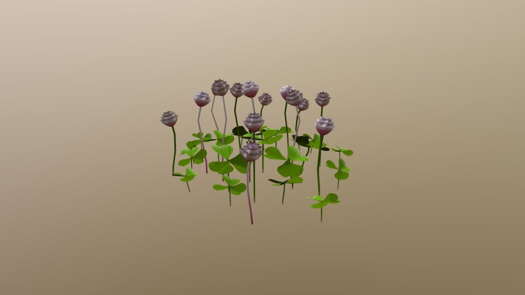 White Clover Cluster - 3D model by lythora [390fd65] - Sketchfab