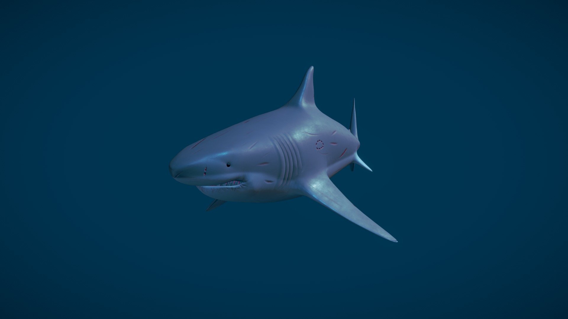 Ancient Shark - Download Free 3D model by Toni García Vilche (@zul_gv ...