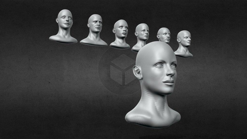head - A 3D model collection by sky50984454 - Sketchfab