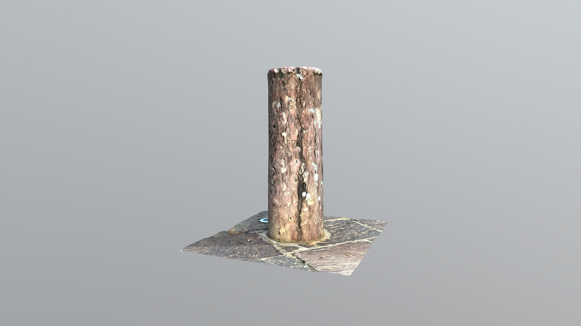 Cipo itálica - 3D model by lsm_17 [391da3e] - Sketchfab