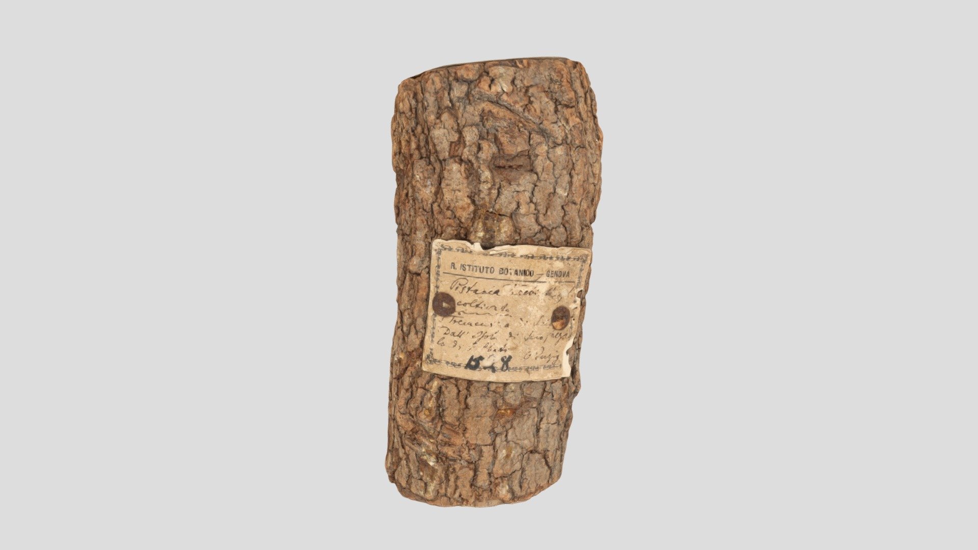 Wood Collection, Xylarium sample #15 - 3D model by SMA-UniGe [3928264 ...