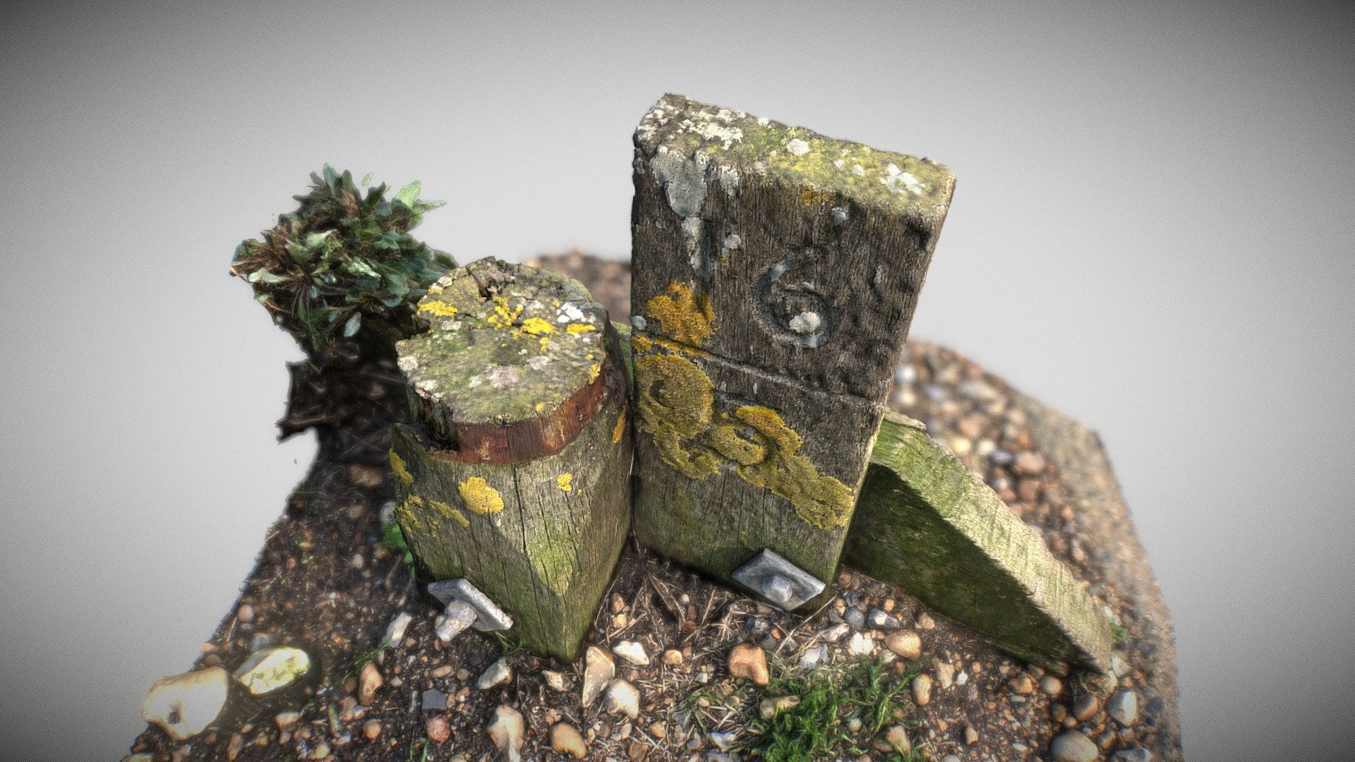 Mossy Wood Ground Divider - Aged, Weathered - Buy Royalty Free 3D model ...