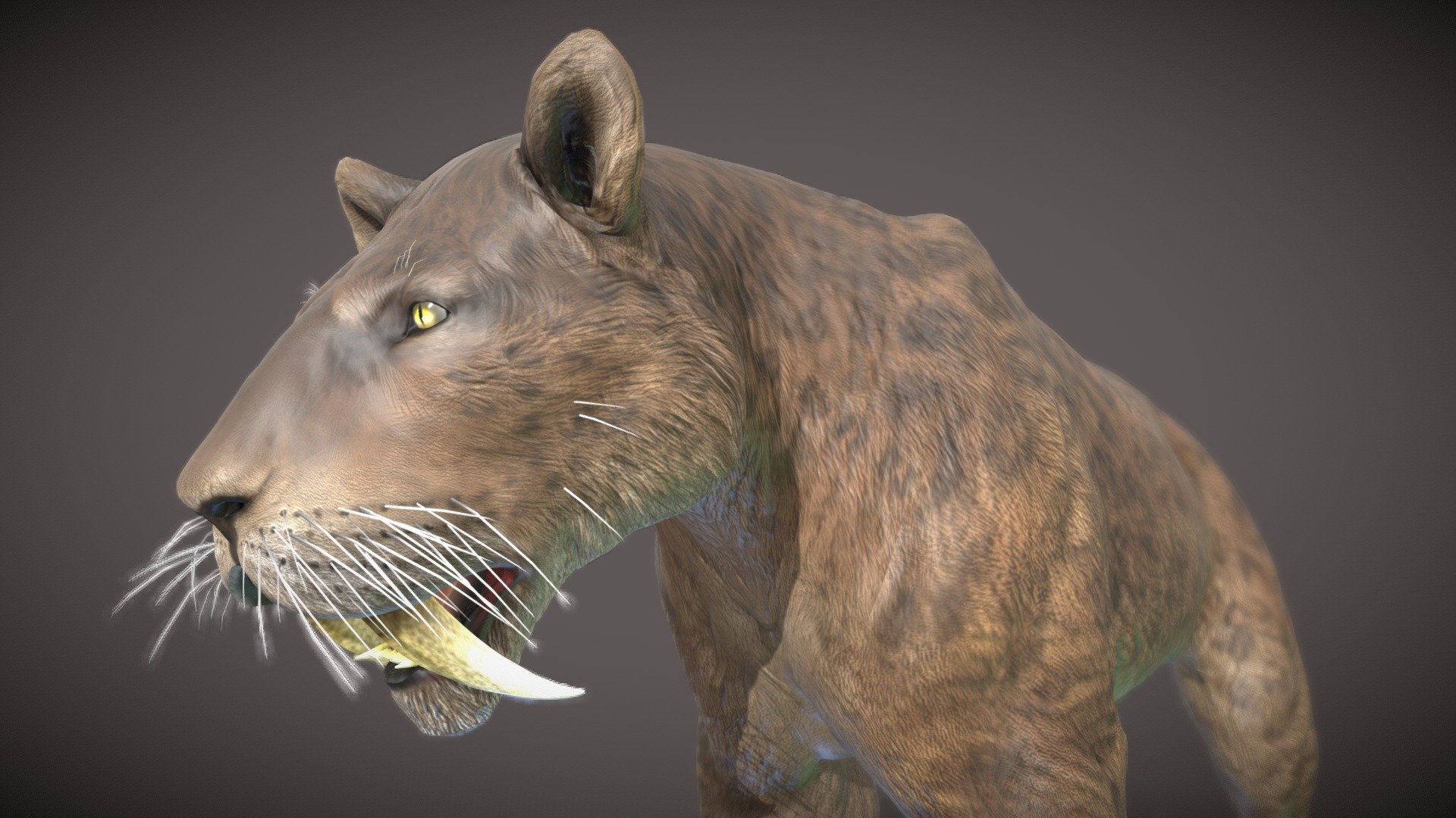 Smilodon - Buy Royalty Free 3D model by robertfabiani [392b4d4 ...