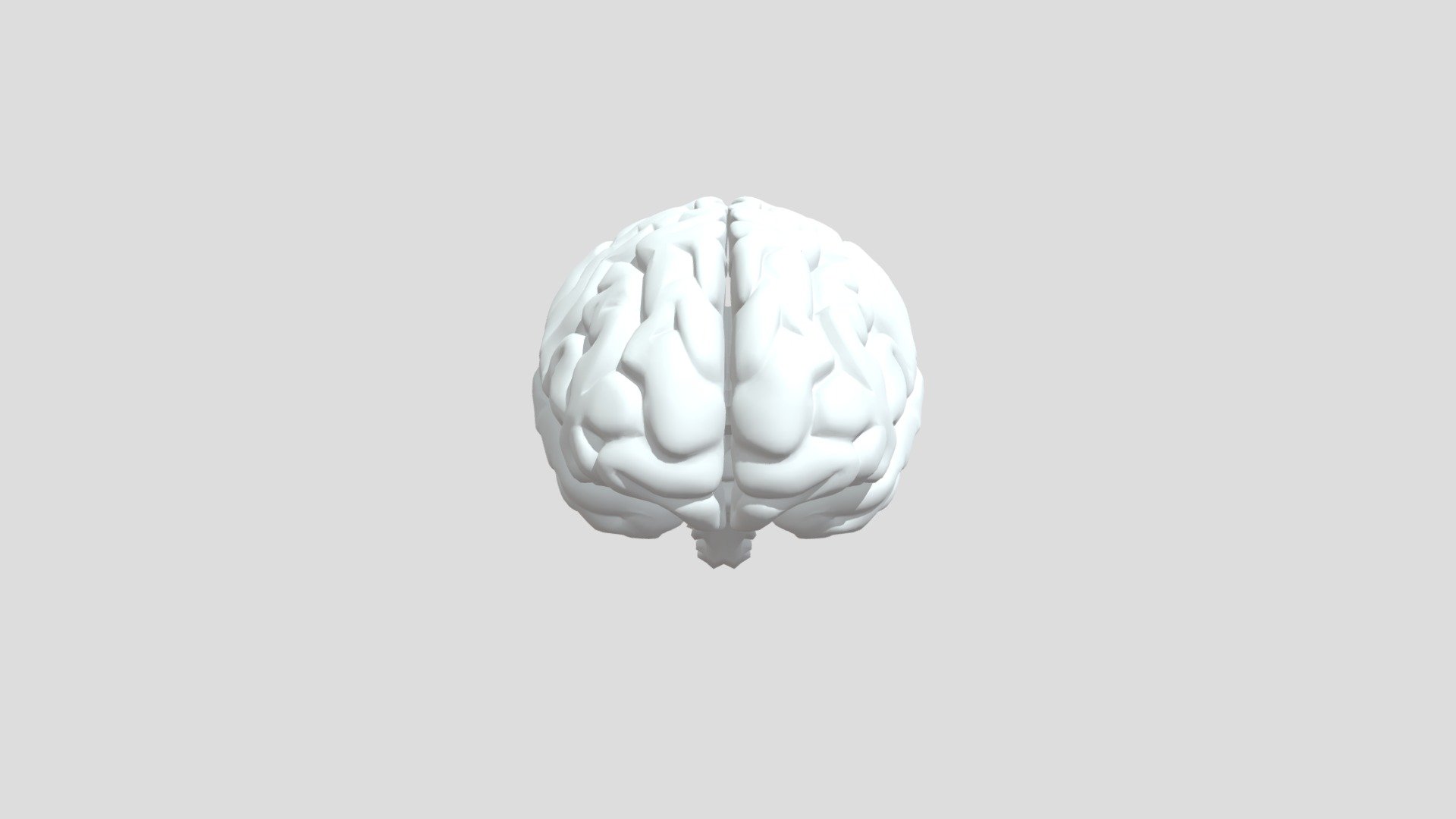Brain Project - Download Free 3D model by TitanicRising [3933fb9 ...