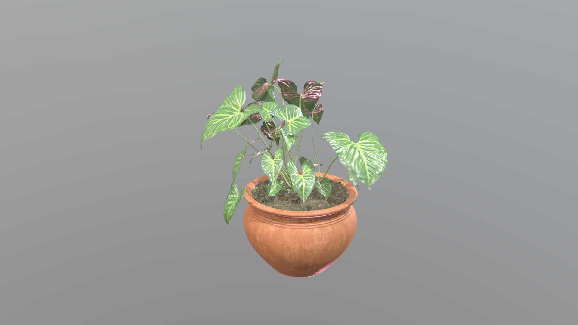 Potted_plant_02_1k - Download Free 3D model by stas1959 [393427a ...