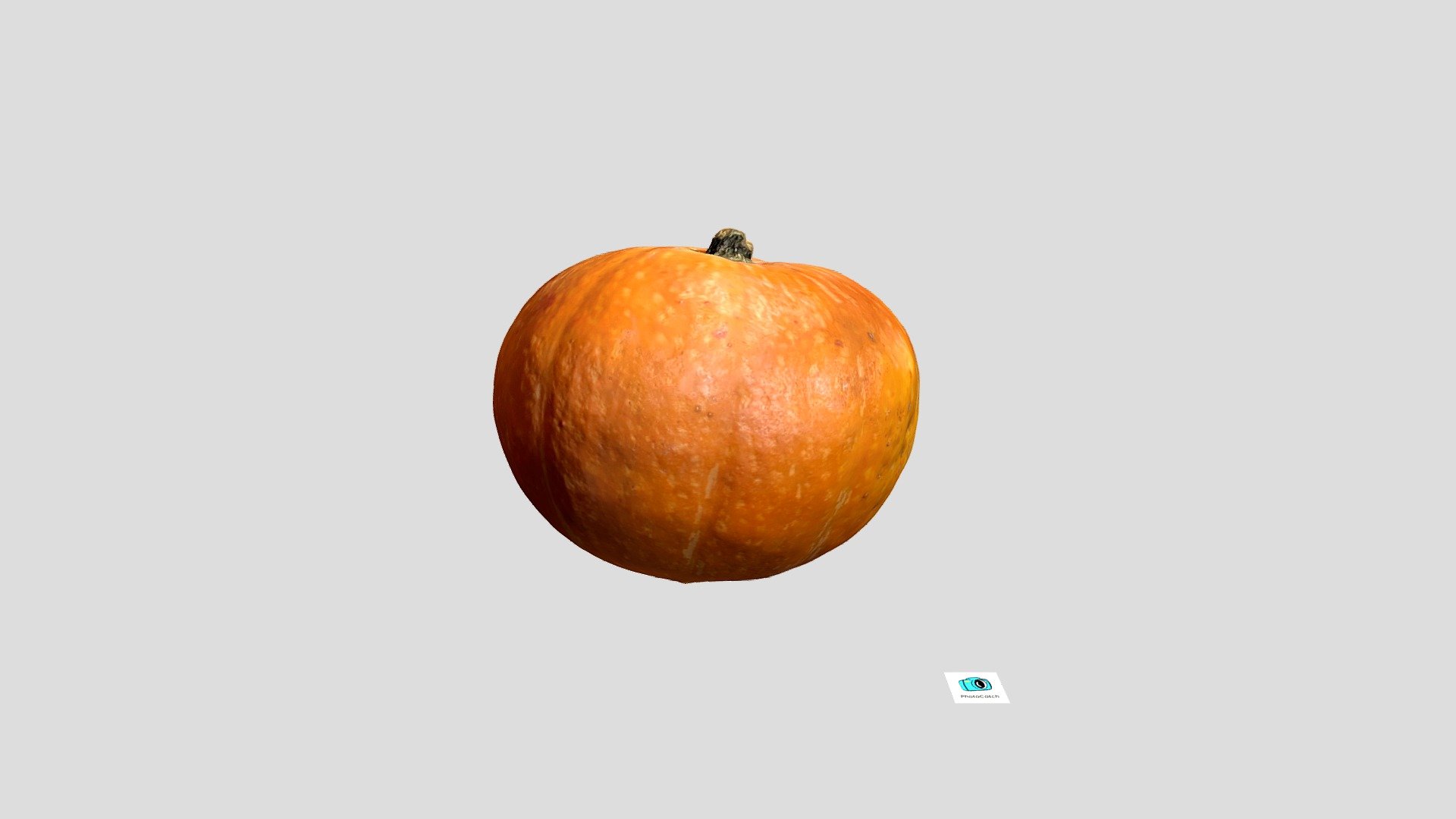 Pumpkin - Download Free 3D model by Qvoter [39353e4] - Sketchfab