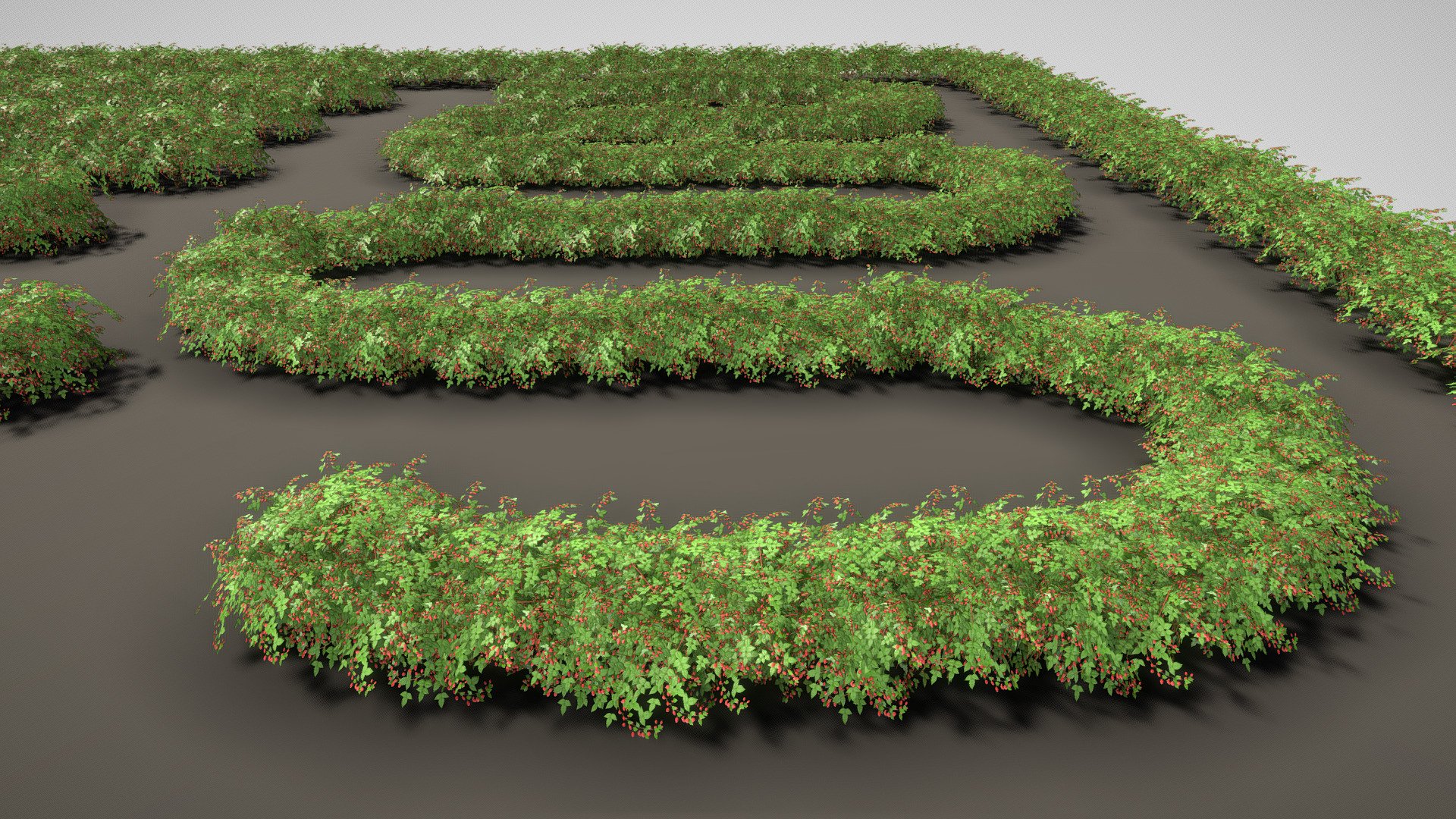 Raspberry Bush / Hedge (Test) - 3D model by VIS-All-3D (@VIS-All ...