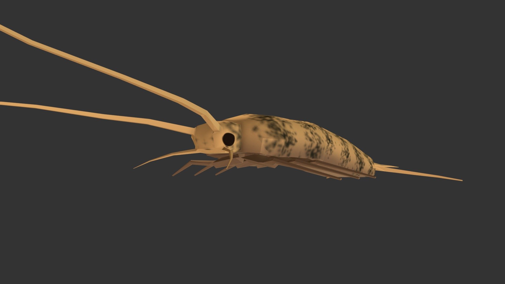 Three-pronged insect - 3D model by suchada.kha [39414e8] - Sketchfab