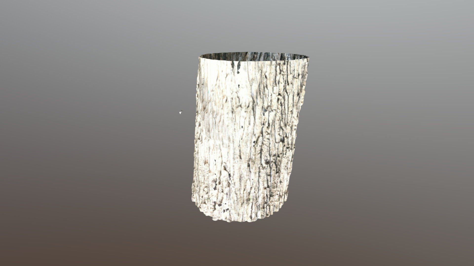 Tree Bark Loop - 3D model by Renbry [39426ca] - Sketchfab