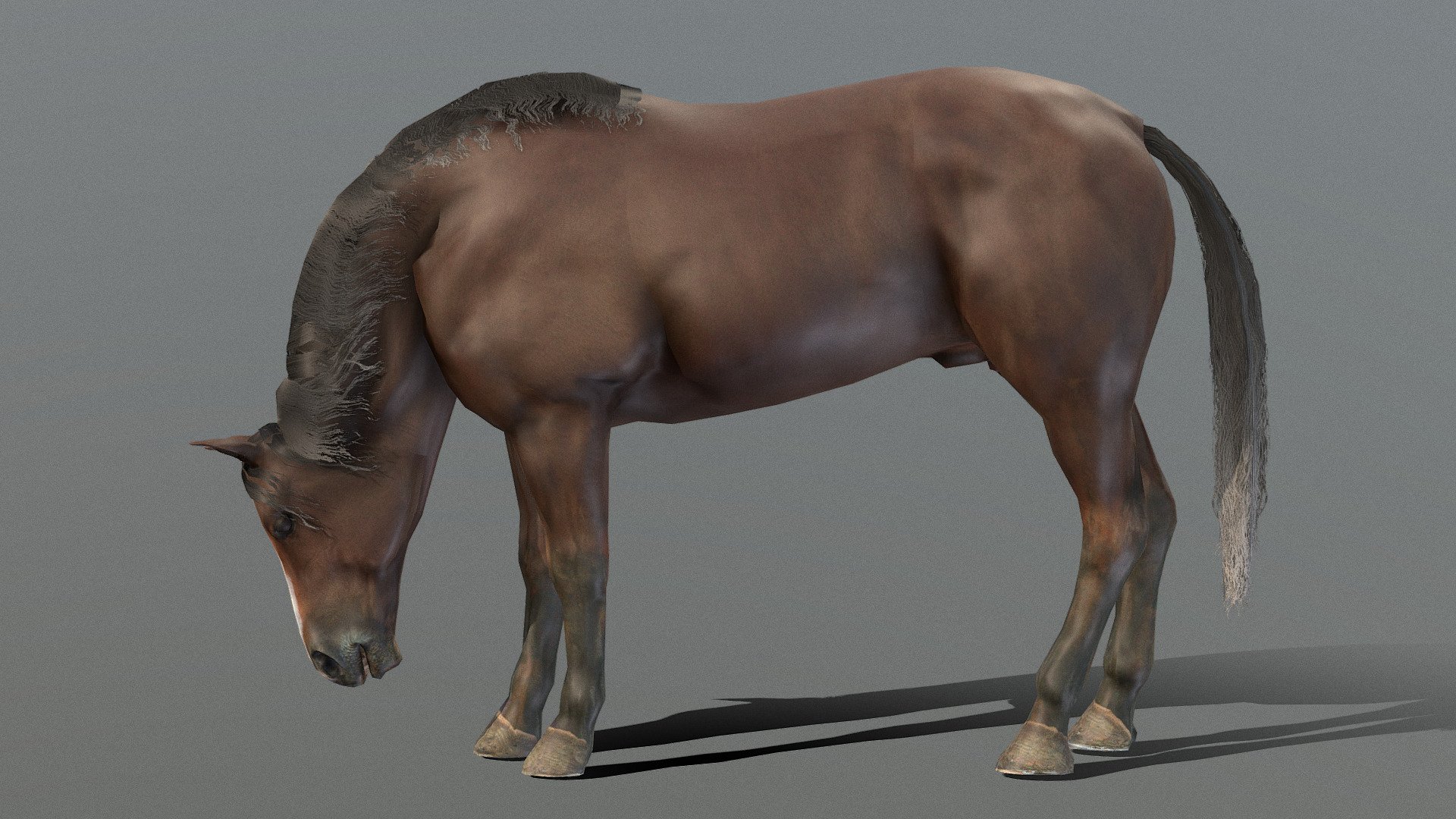 Horse Animated - 3D model by monstermod [39475ad] - Sketchfab