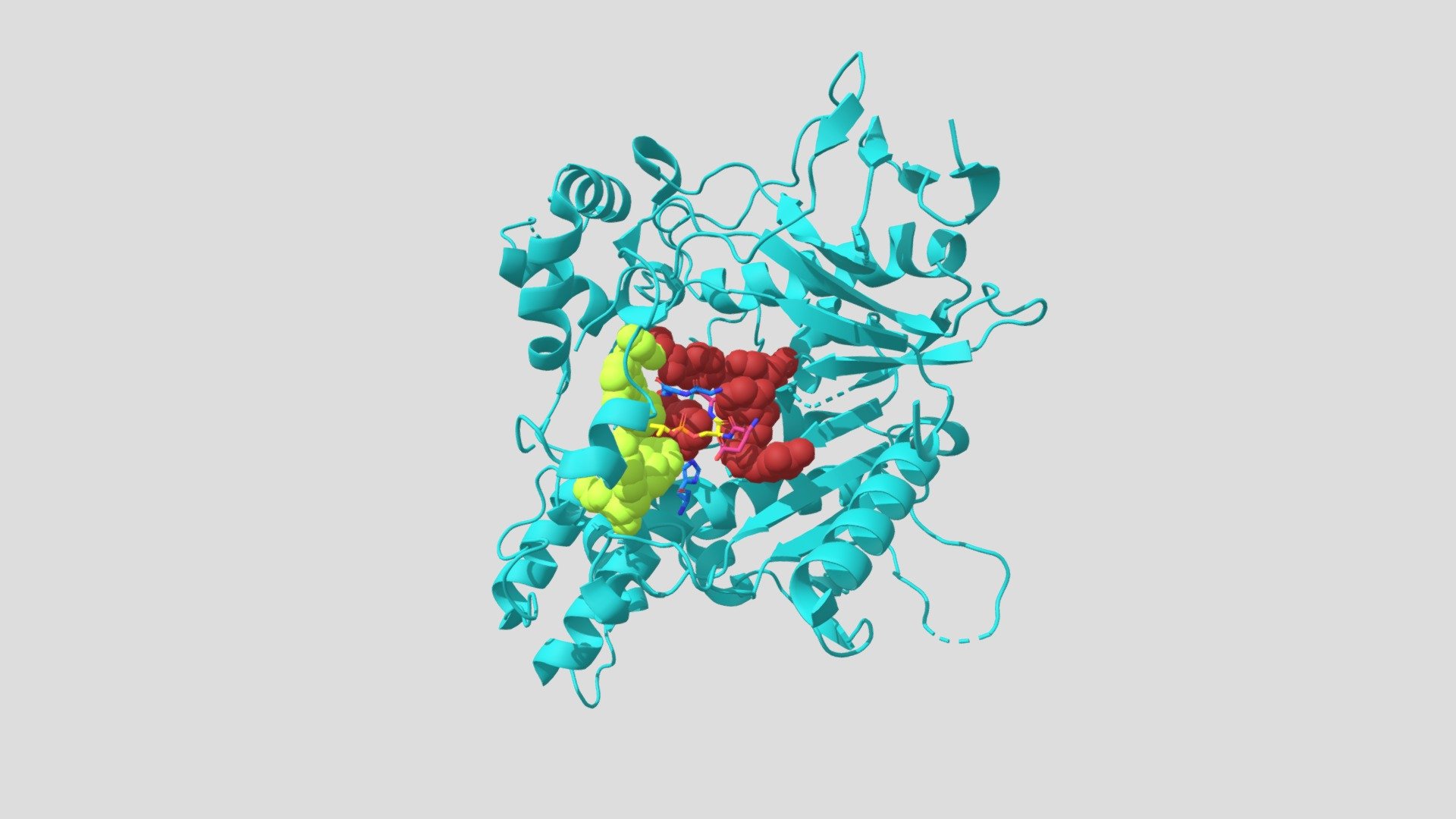 Acetylcholinesterase and Sarin interaction - 3D model by Isladay ...