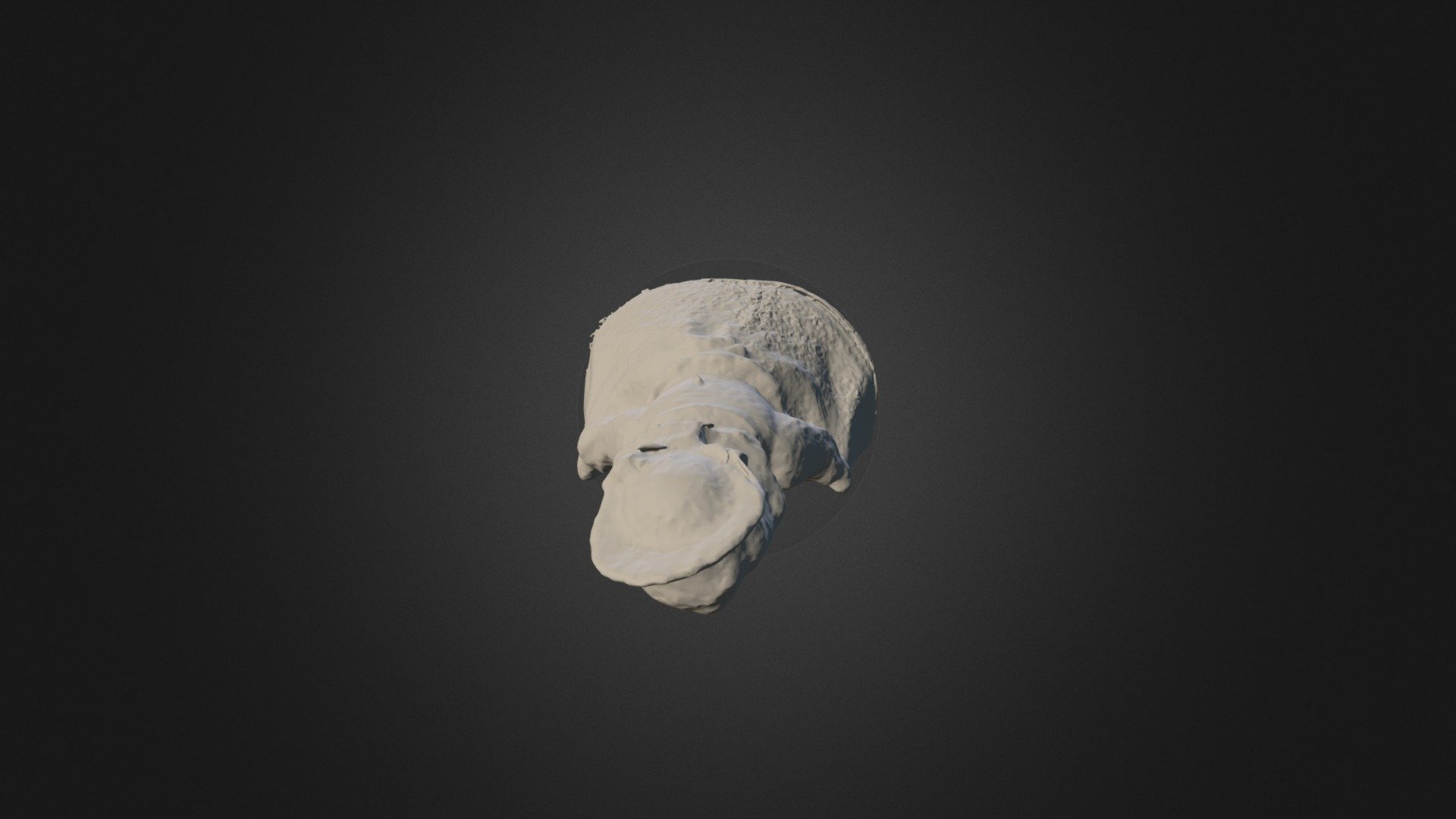 Kukla - 3D model by doctorkhv [3953799] - Sketchfab