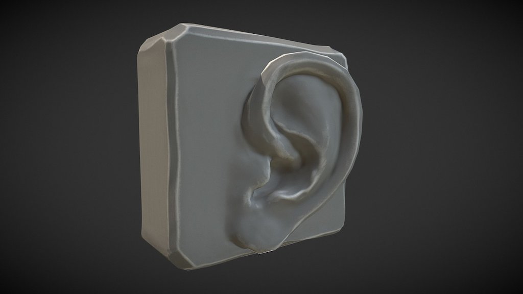 Anatomy Study - Ear - 3D model by randomspirits [39557ac] - Sketchfab
