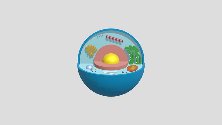 Hewan 3D models - Sketchfab