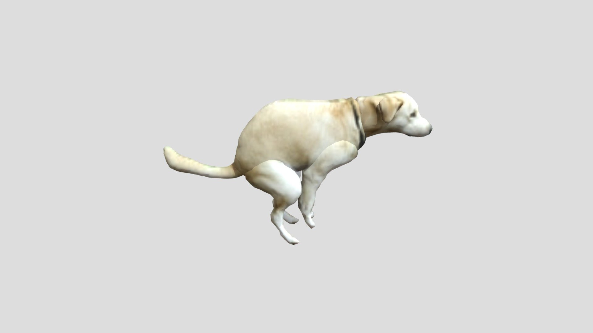Dog Pooping - 3D model by 409010799 [3958b15] - Sketchfab