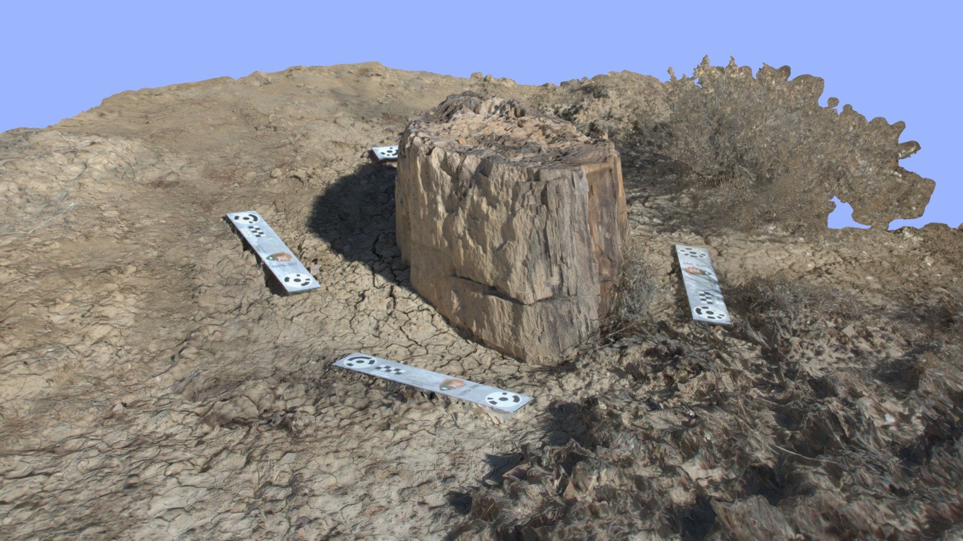 Small fossil tree stump - 3D model by American Geosciences Institute ...