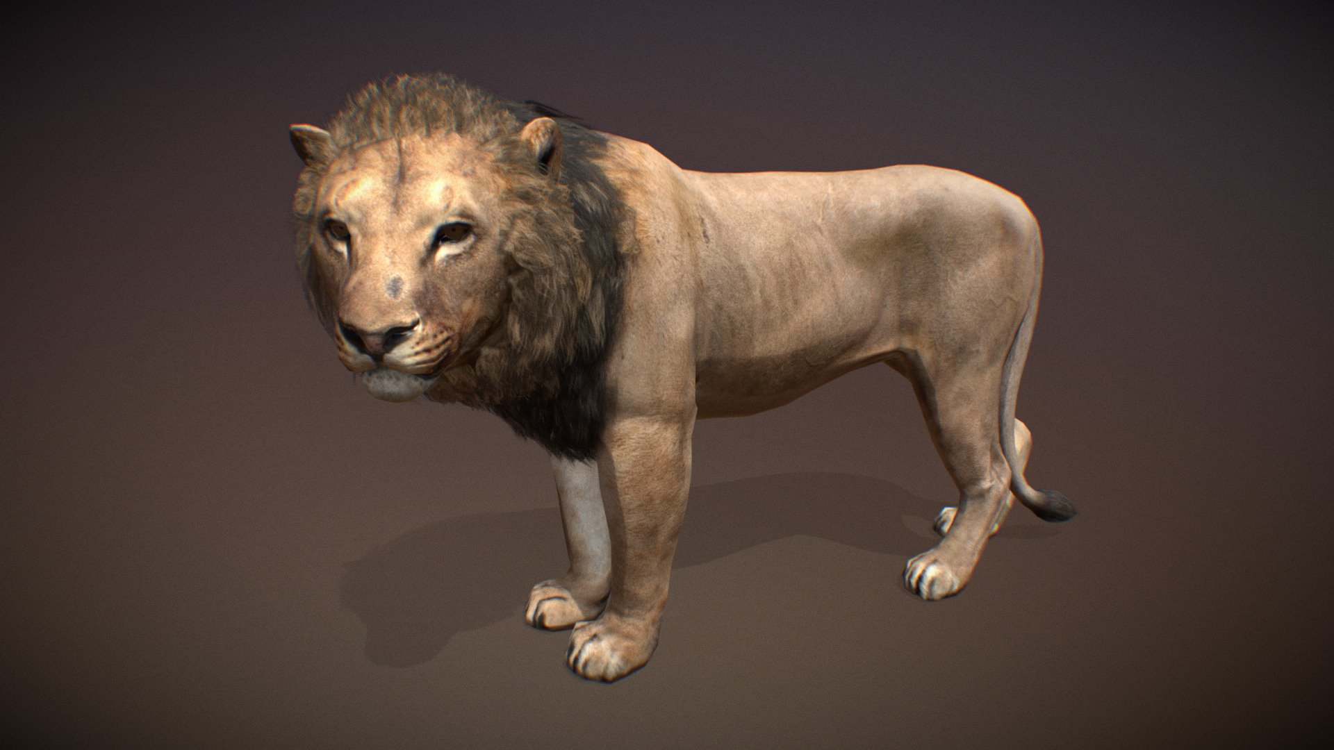 Animalia - Lion (male) - 3D model by GiM (@GamesInMotion) [3960bd4 ...