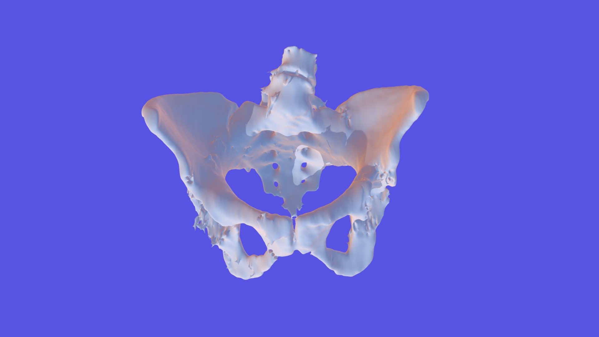 9159F Pelvis Model - 3D model by Nadira (@nadiram) [396b3cb] - Sketchfab