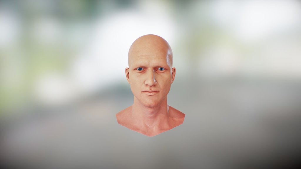 Human Head - 3D model by somparraa [396c195] - Sketchfab