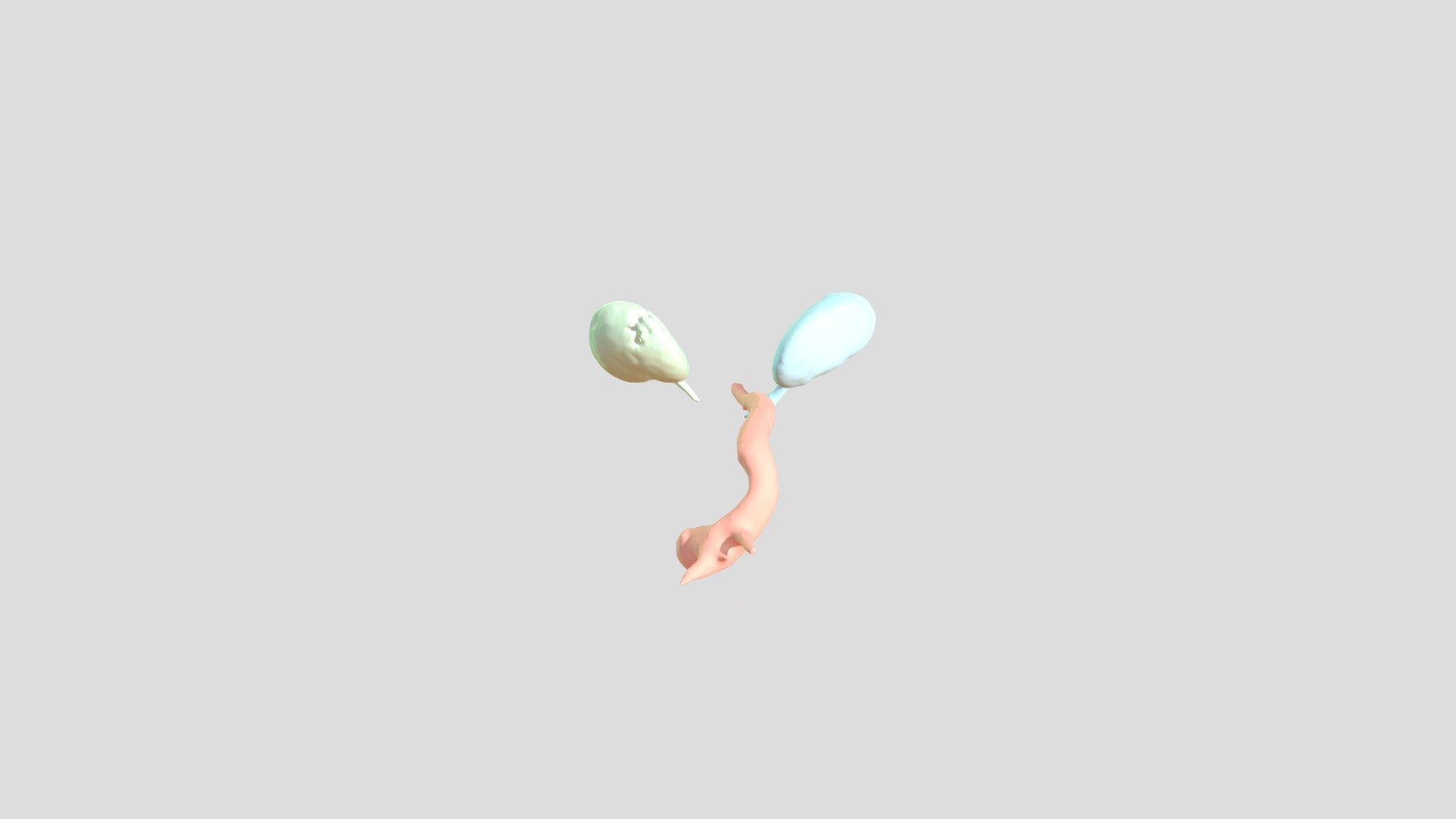 Segmentation - 3D model by sydneyhayden [396cd0b] - Sketchfab