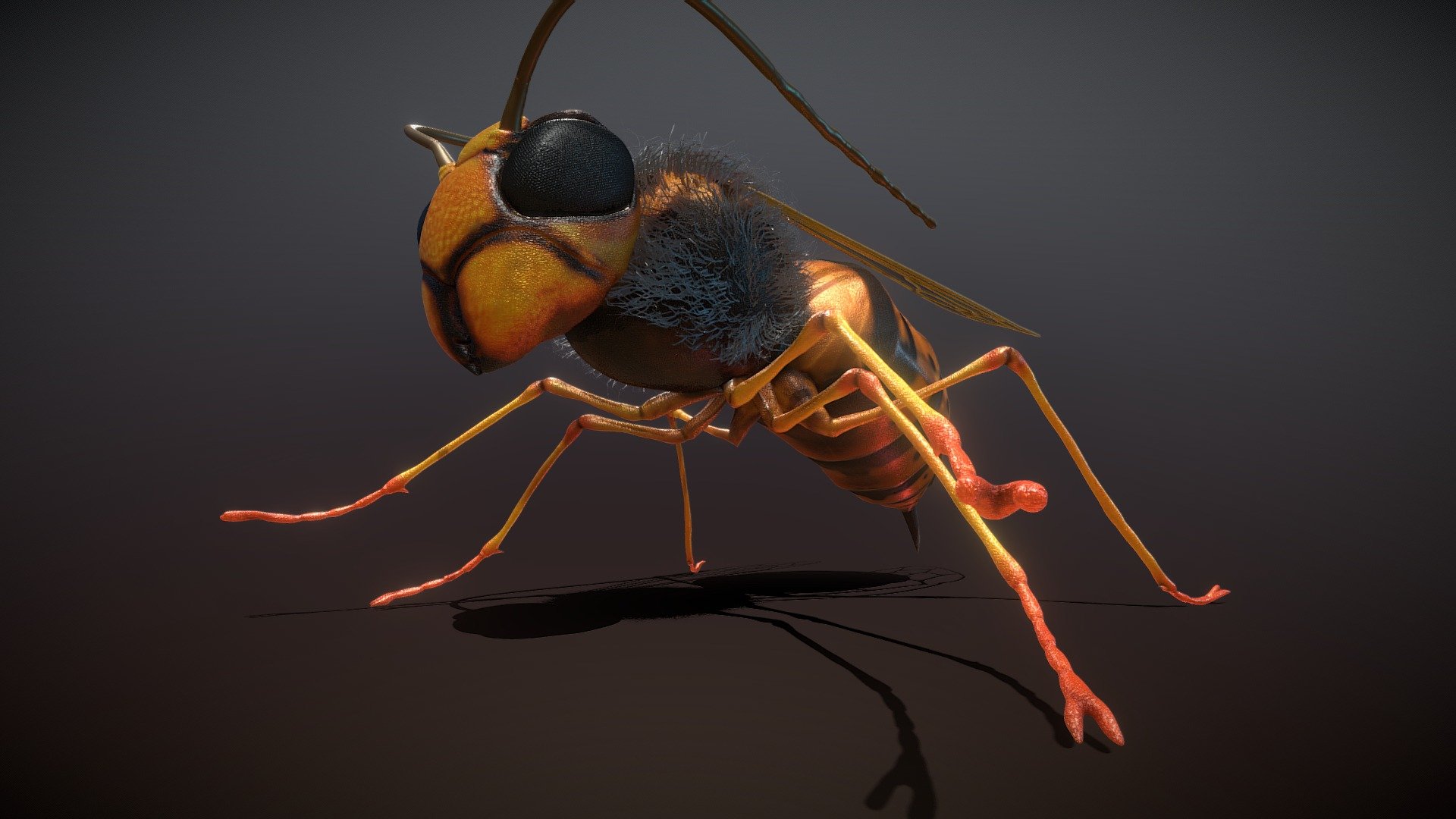 WASP - 3D model by Idmenthal (@idmental.id) [3977c74] - Sketchfab