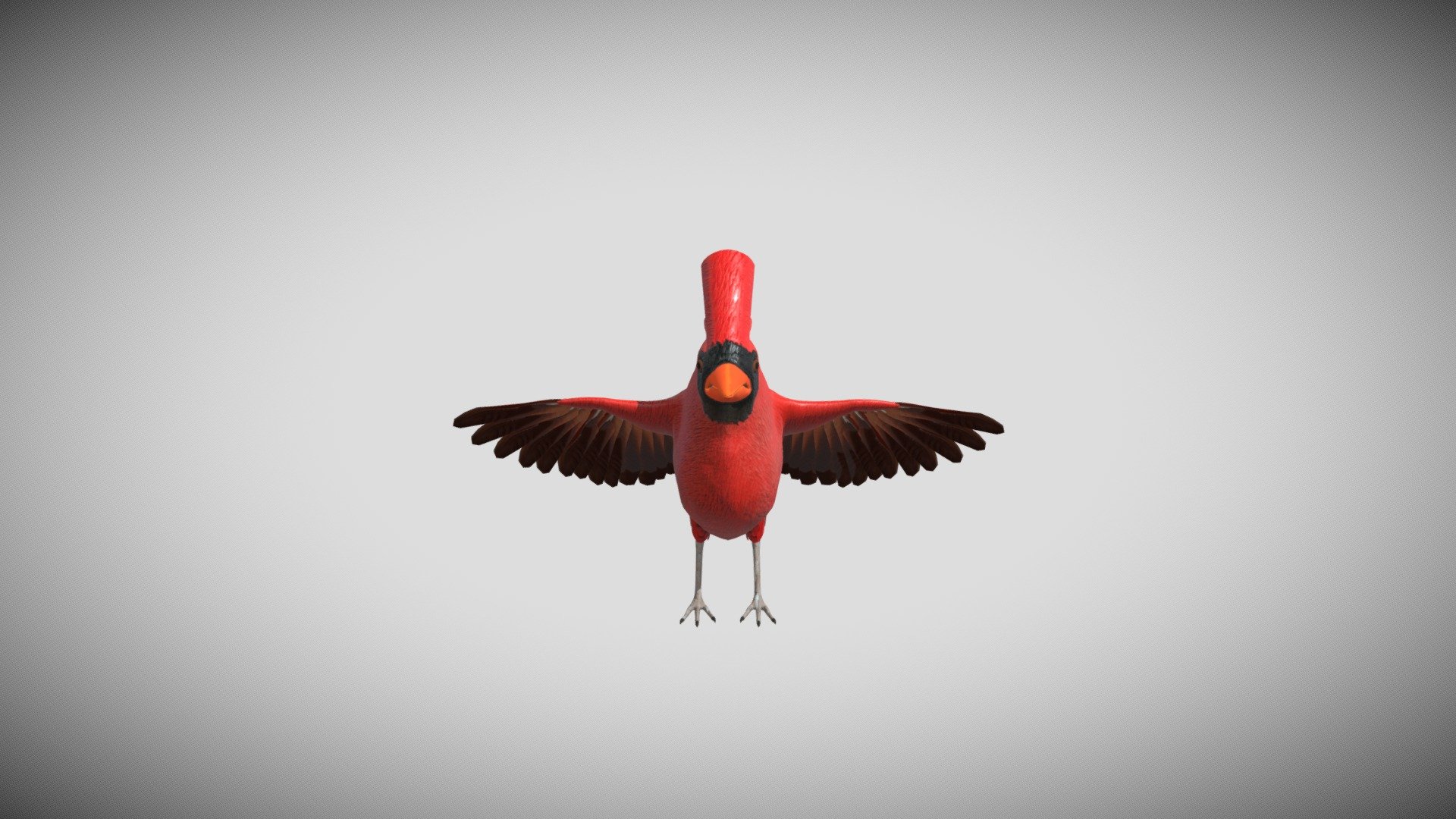 Cardinal Bird - 3D model by Vincent Laberge (@TheDoom102) [397b635 ...