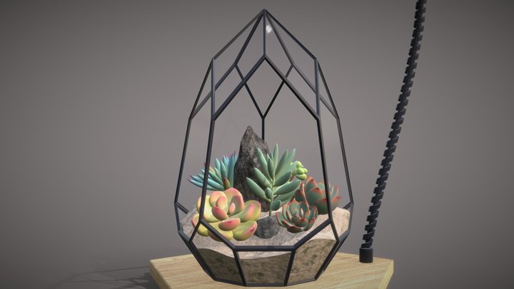 Sedum 3D models - Sketchfab