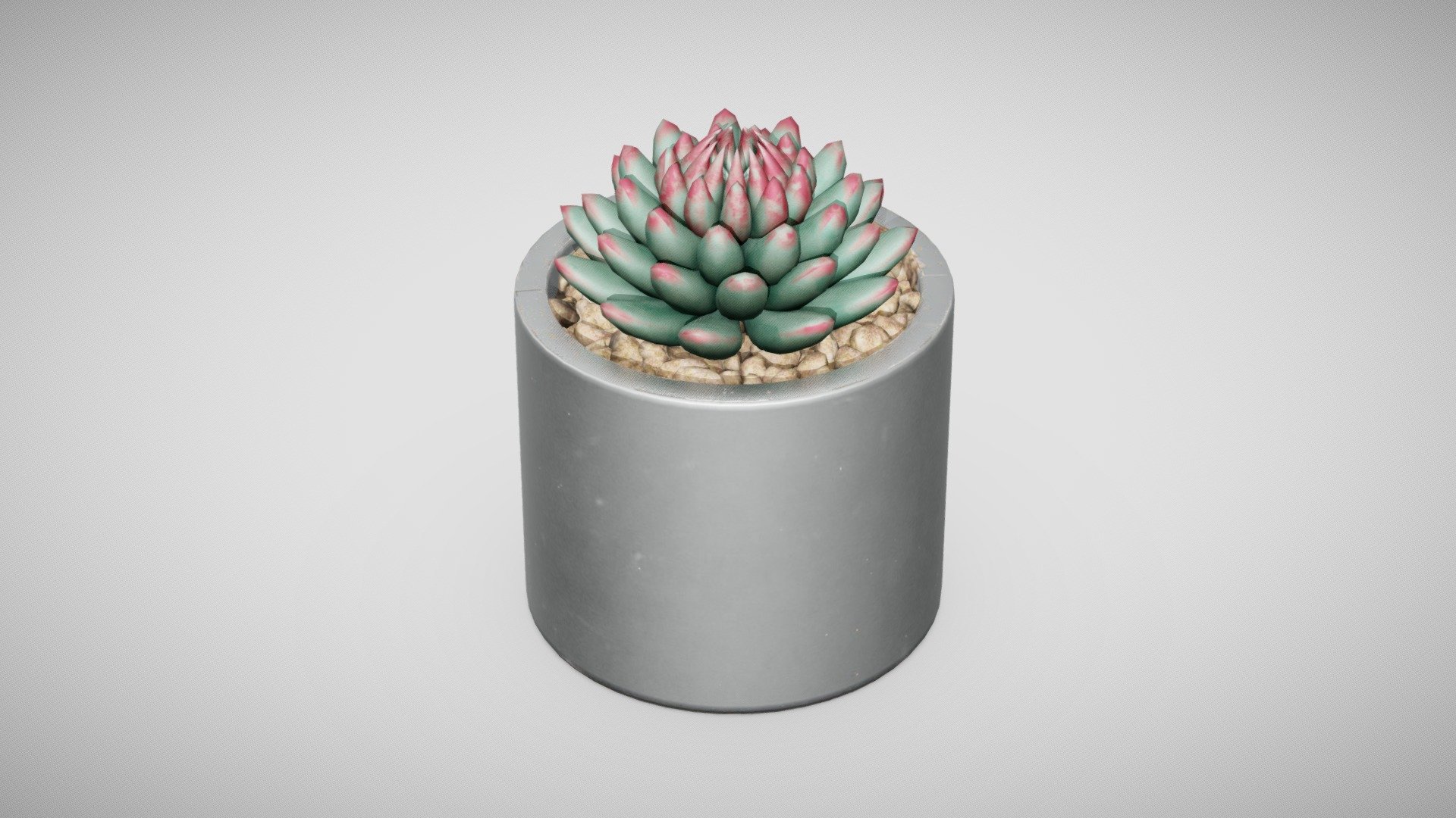 succulent plant - Buy Royalty Free 3D model by Vanessa Araújo ...