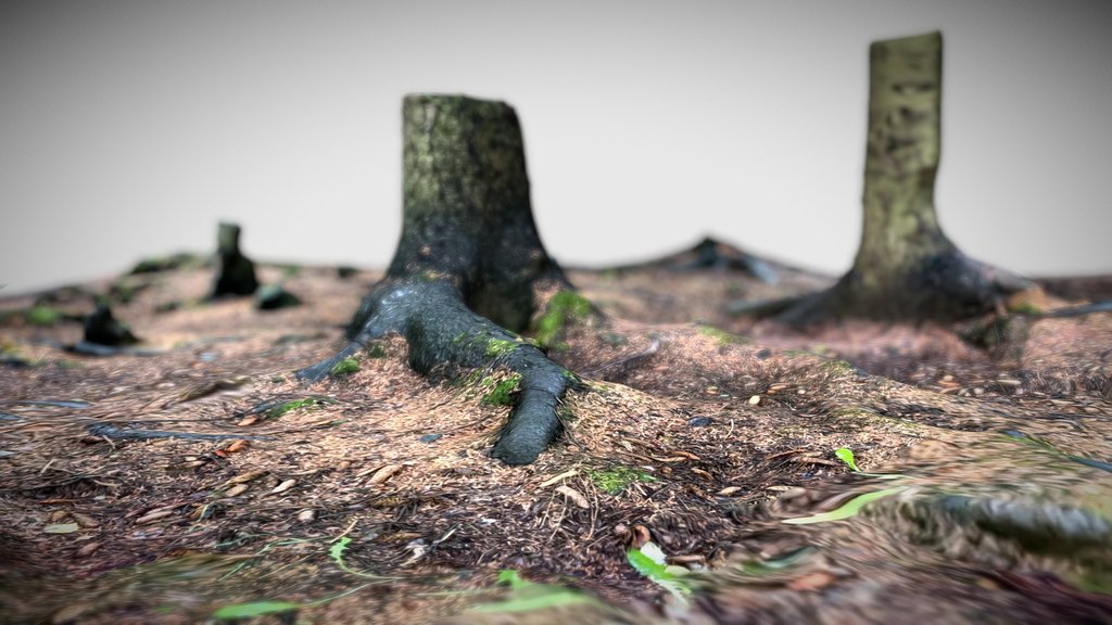 For Environments - A 3D model collection by vectorgraphics110 - Sketchfab