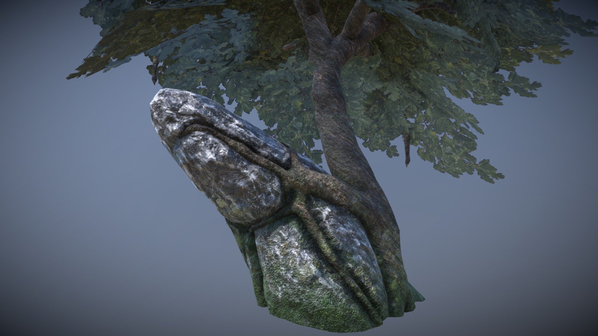 The Tree on a Rock - 3D model by Jefferson Frenay (@MrTeckmachin ...