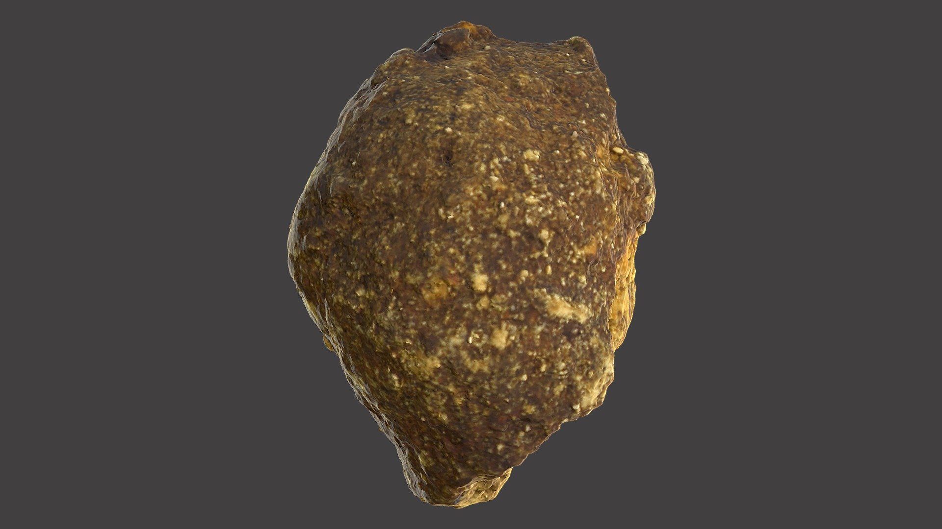 HPP070AA00025AB - Coprolite - 3D model by Professor Dominic Powlesland ...