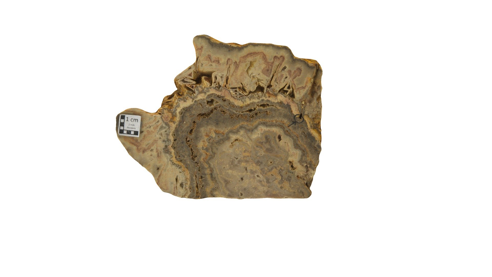 UTas_N9 - 3D model by AusGeol.org (@AusGeol) [398ef72] - Sketchfab