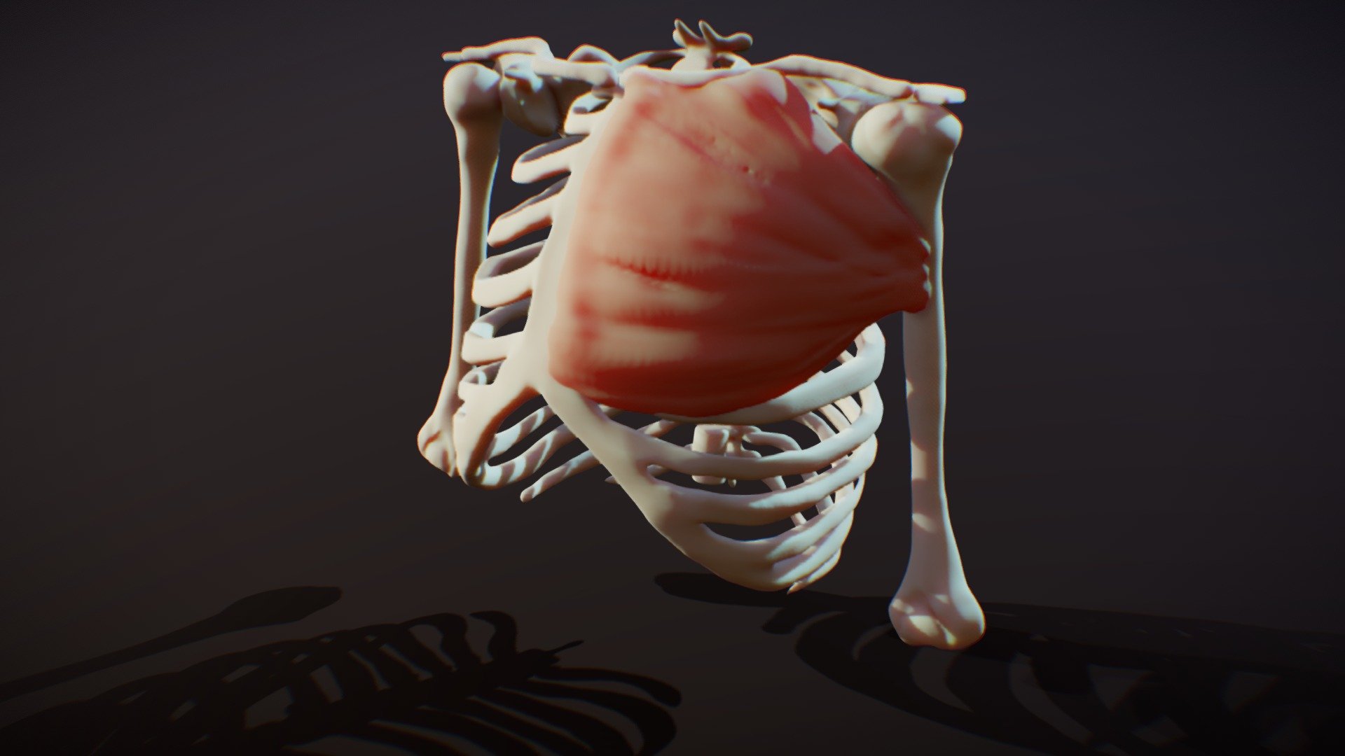 #SculptJanuary19 - Day03 Chest - Download Free 3D model by Bohdan Lvov ...