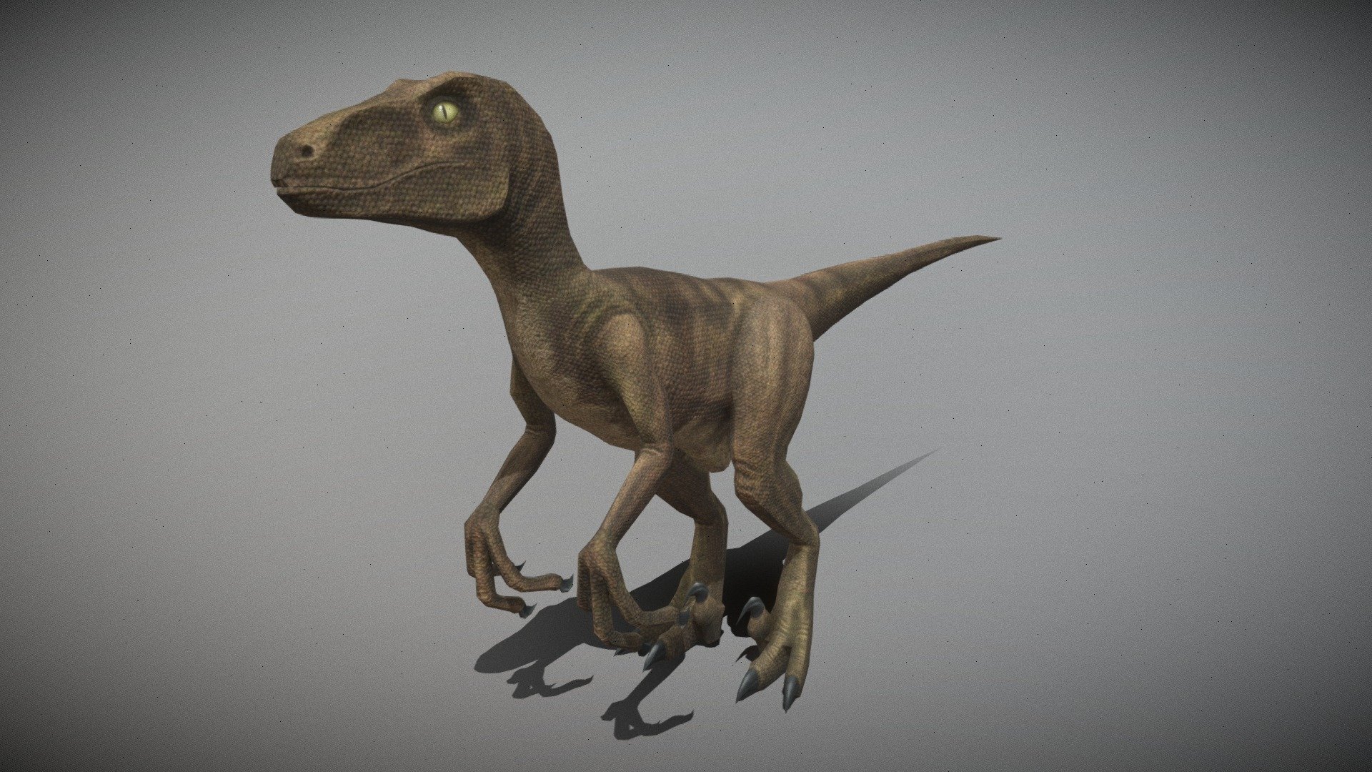 Velociraptor - Download Free 3D model by Indominus Rex (@lentoneulb ...